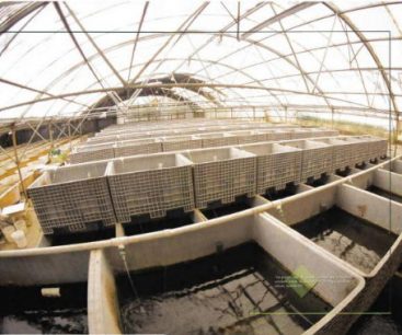 Facilities - Live Fish Direct