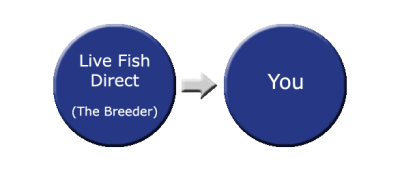 Frequently Asked Questions - Live Fish Direct